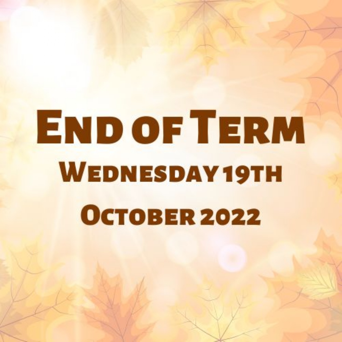 St Thomas Becket Catholic School - End of Term